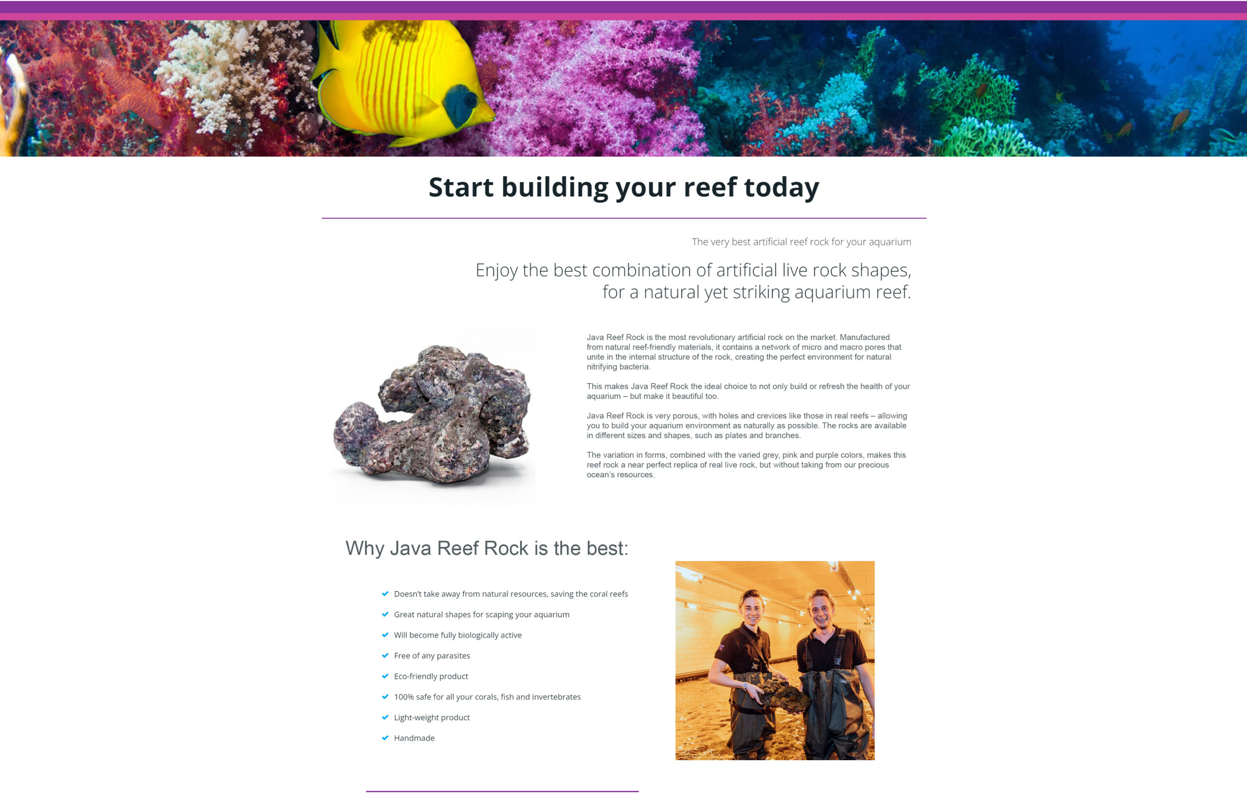 Shop Java Reef Rock Arches - Reeftopia | Australia's Source For Premium Fish & Coral