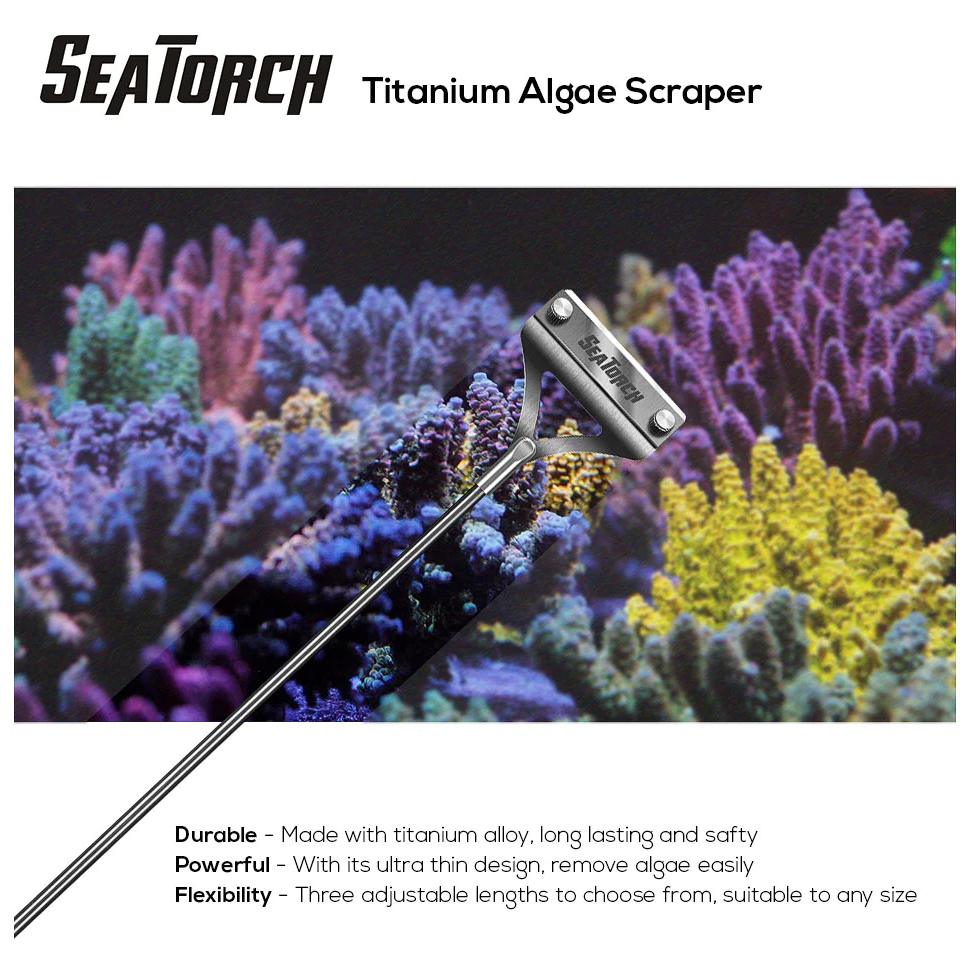 Shop SeaTorch Titanium Scraper - Reeftopia | Australia's Source For ...