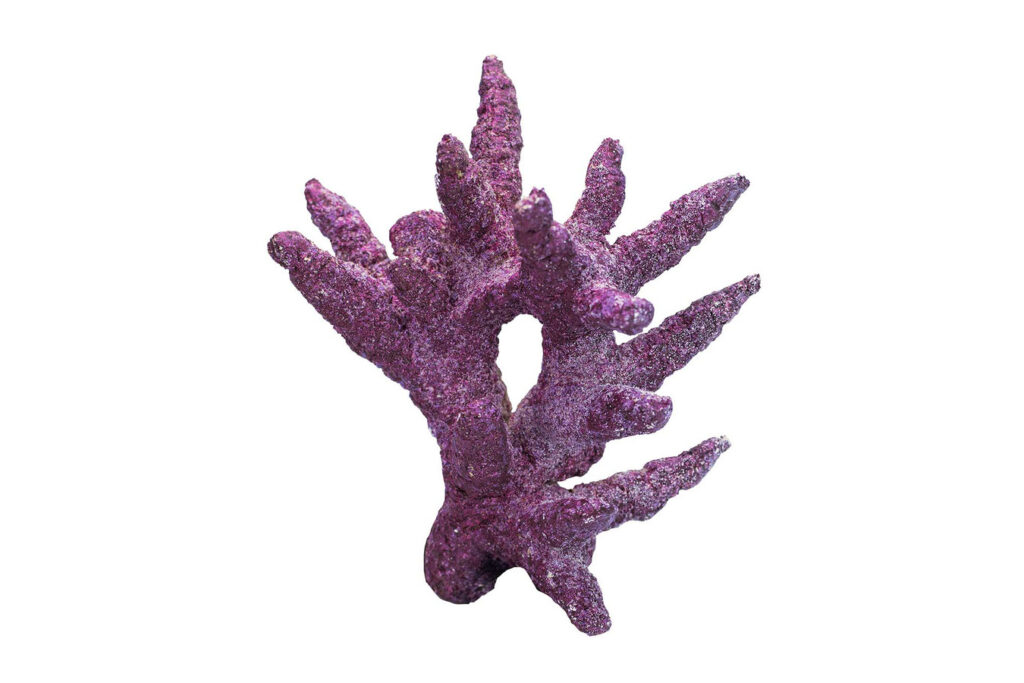 Shop Real Reef Rock Fancy Branch - Reeftopia | Australia's Source For ...