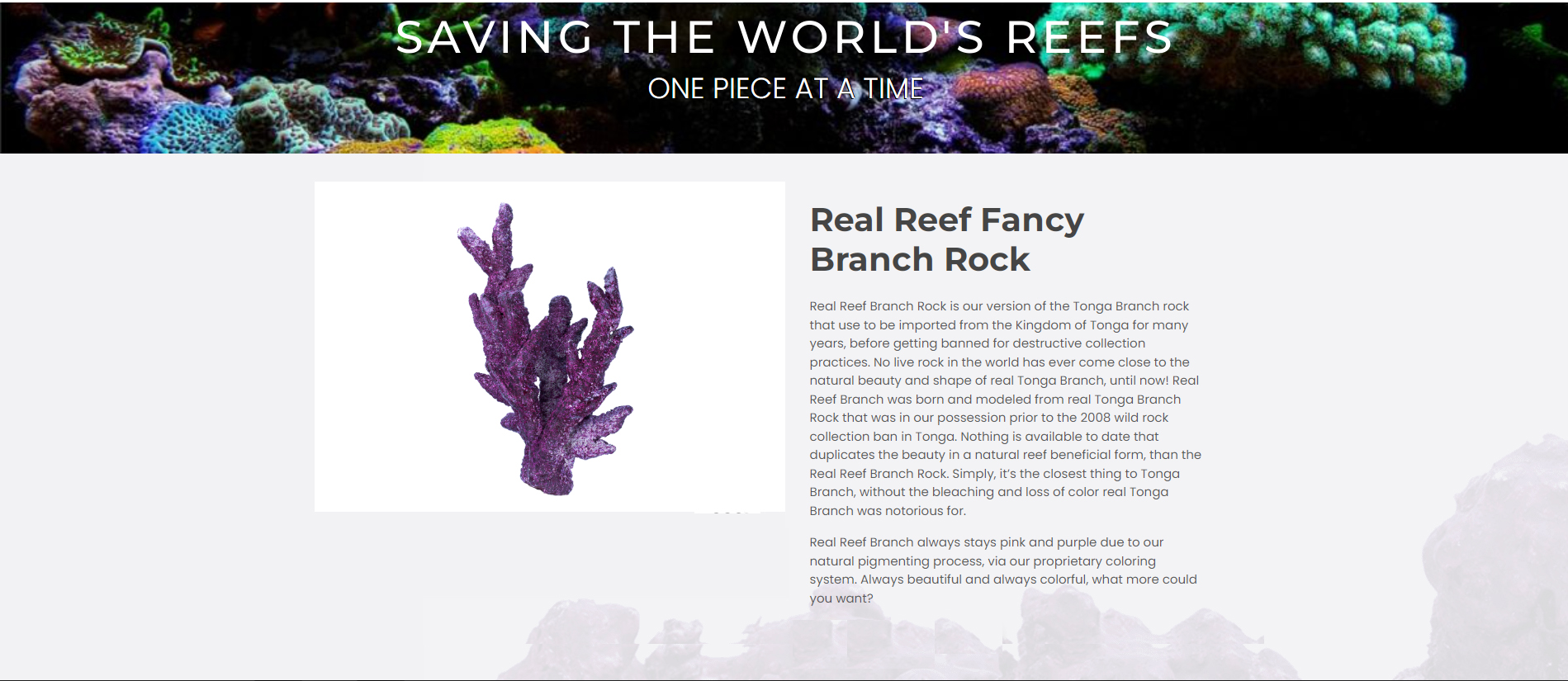 Shop Real Reef Rock Fancy Branch - Reeftopia | Australia's Source For ...