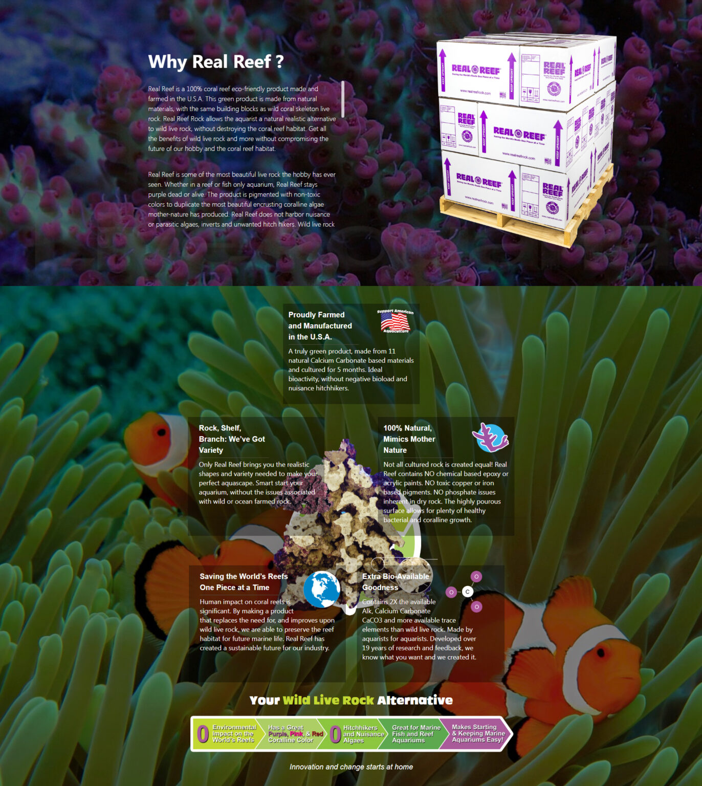 Shop Real Reef Rock Plate - Reeftopia | Australia's Source For Premium ...