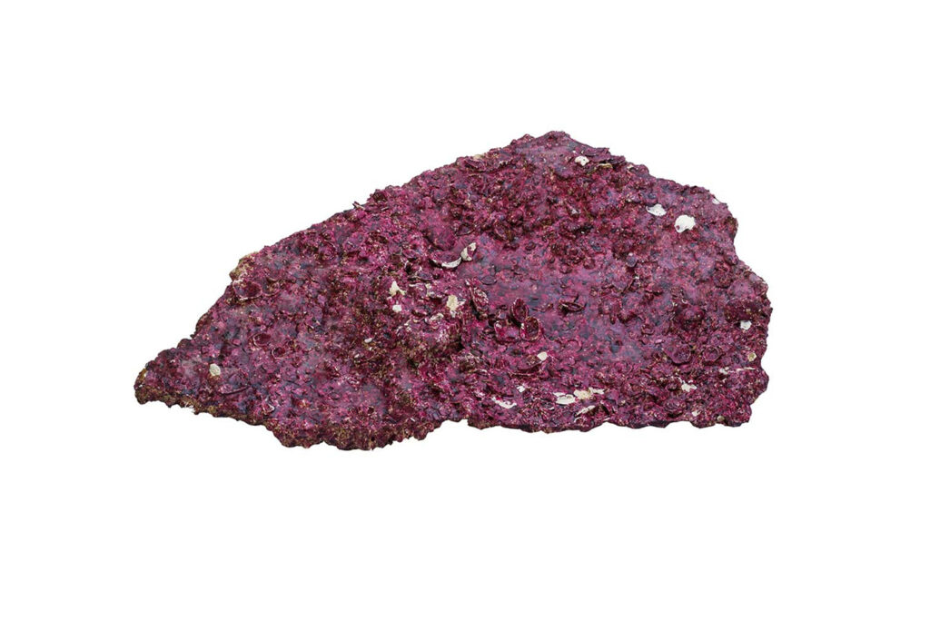 Shop Real Reef Rock Shelf - Reeftopia | Australia's Source For Premium ...